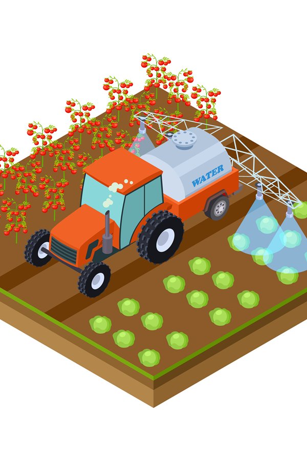 Automatic crop irrigation. Machine watering tomatoes and cab