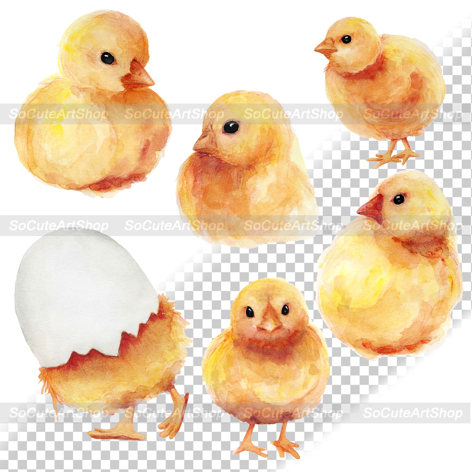 Watercolor Easter clipart, spring floral clipart, baby chick