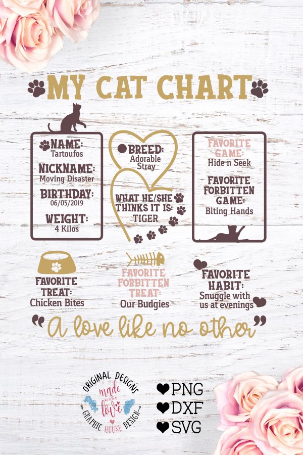 Cat Stats Chart Template - Cut File - Sublimation