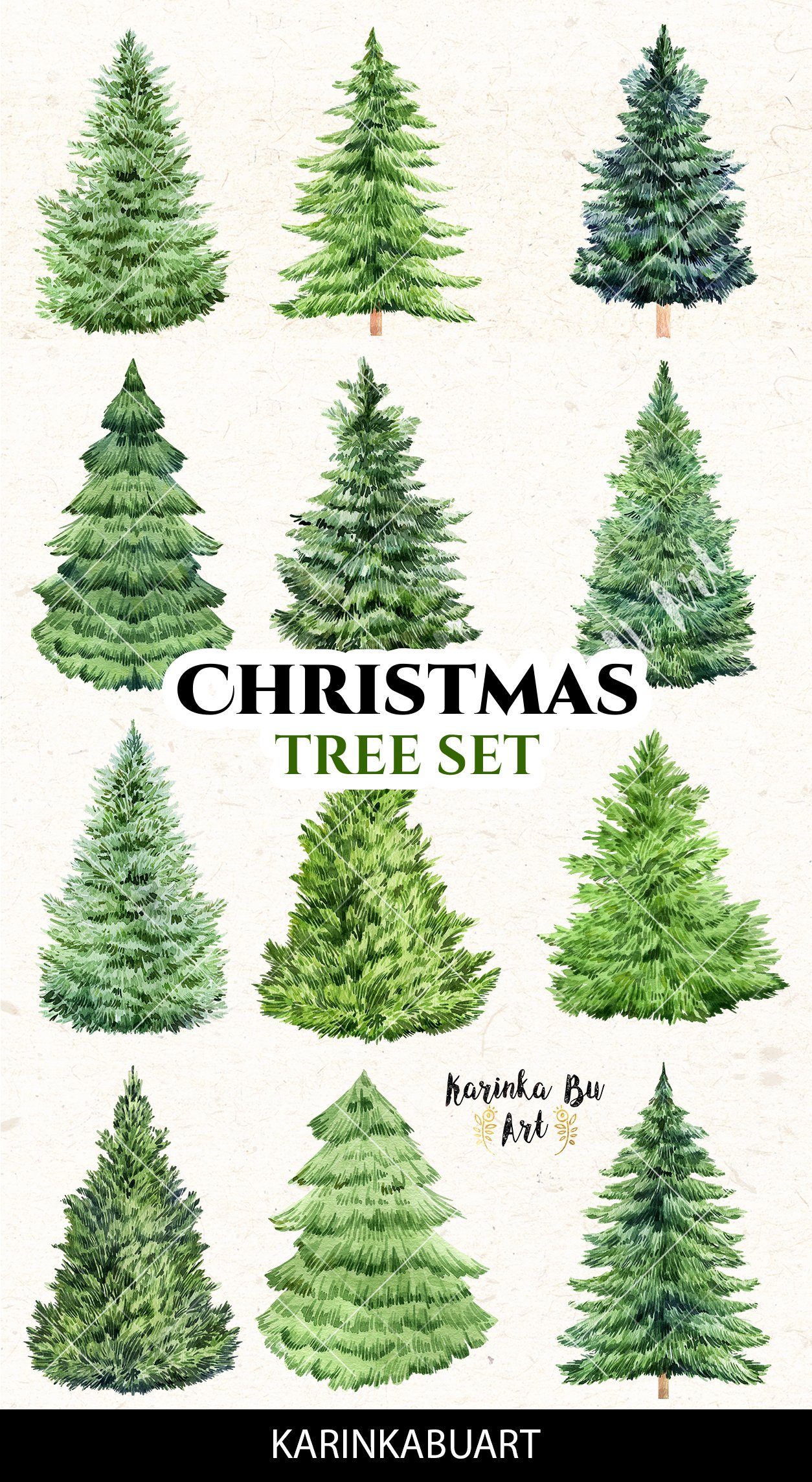 WaWatercolor Christmas tree 12 PNG clip art. Holly branch