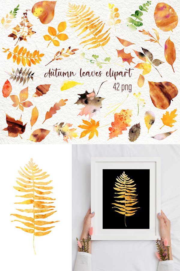 Watercolor autumn leaves clipart, Fall leaf Hello (1545206)