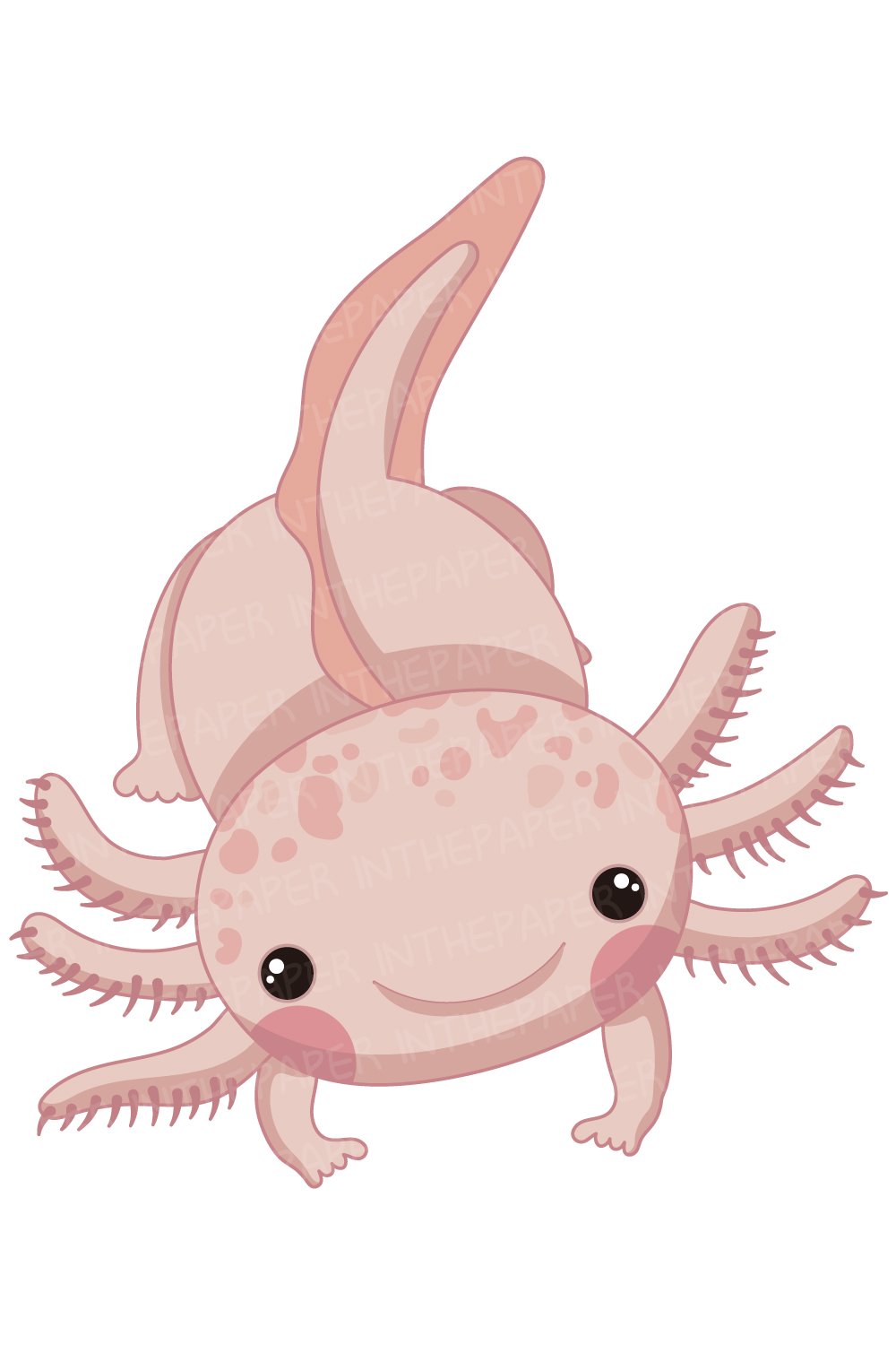 cute axolotl in pink | SVG PNG Clip art under the sea animal