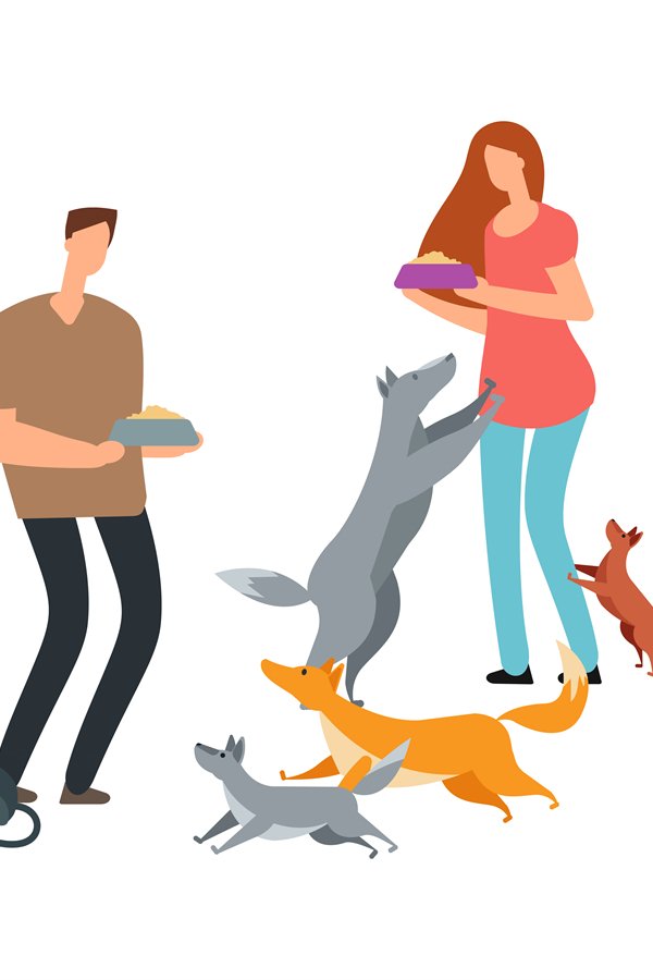Volunteers and homeless dogs and cat vector illustration