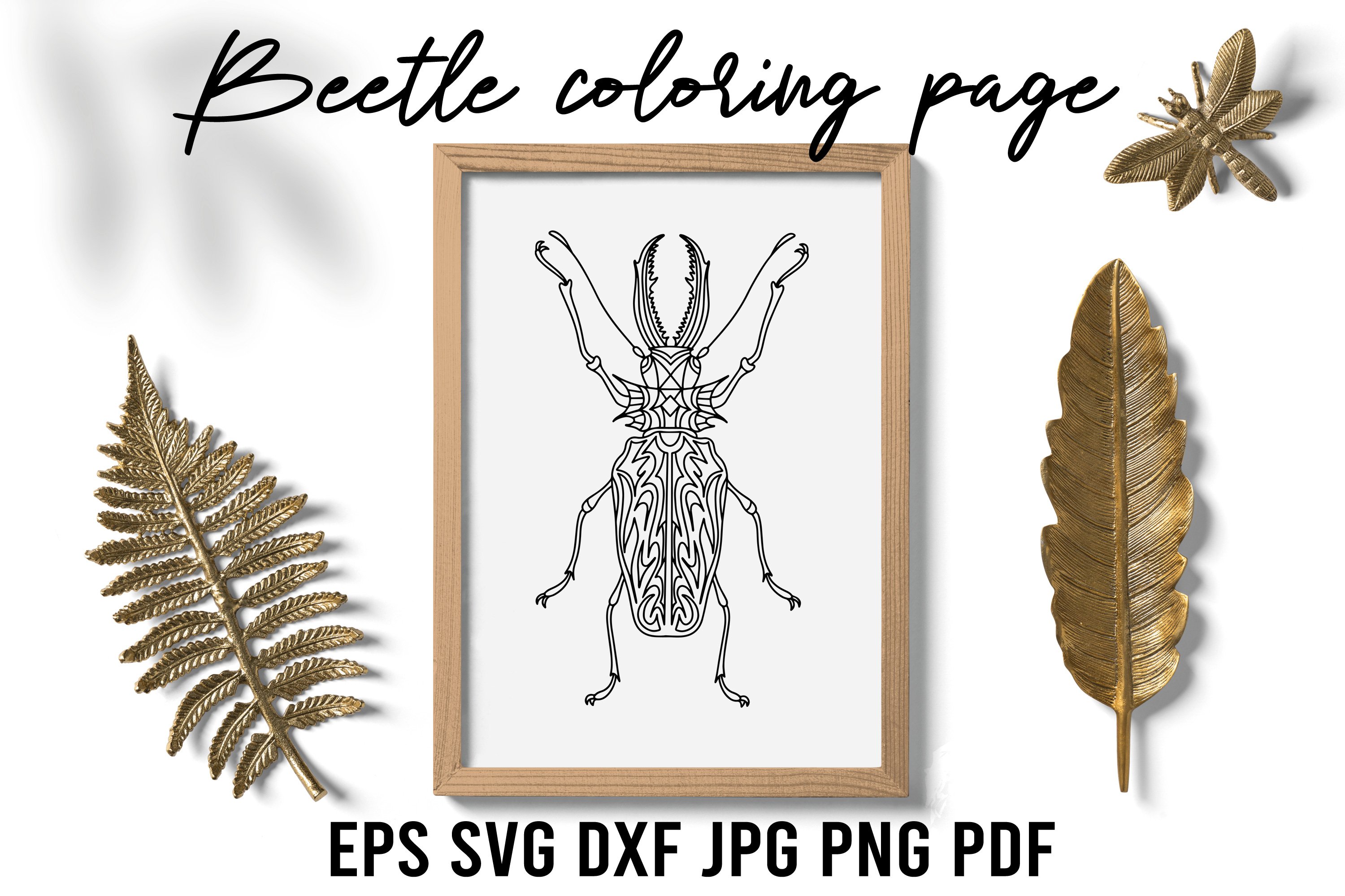 Beetle insect coloring page|Coloring sheet|Coloring Page PDF