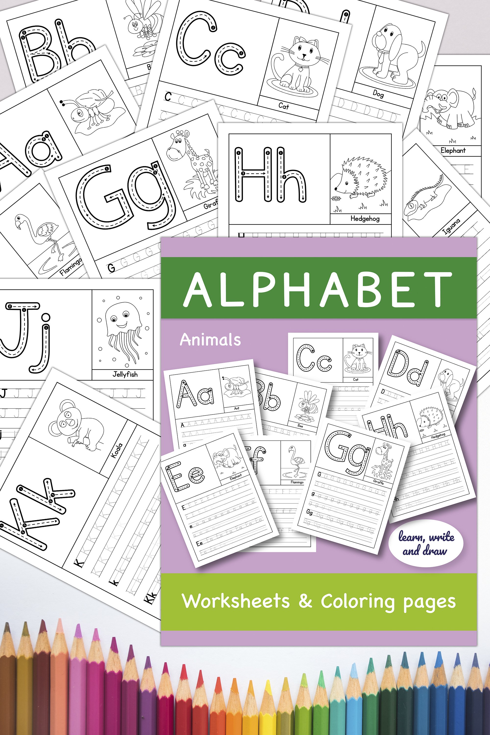 Animals Alphabet A to Z Worksheets & Coloring (1433352)