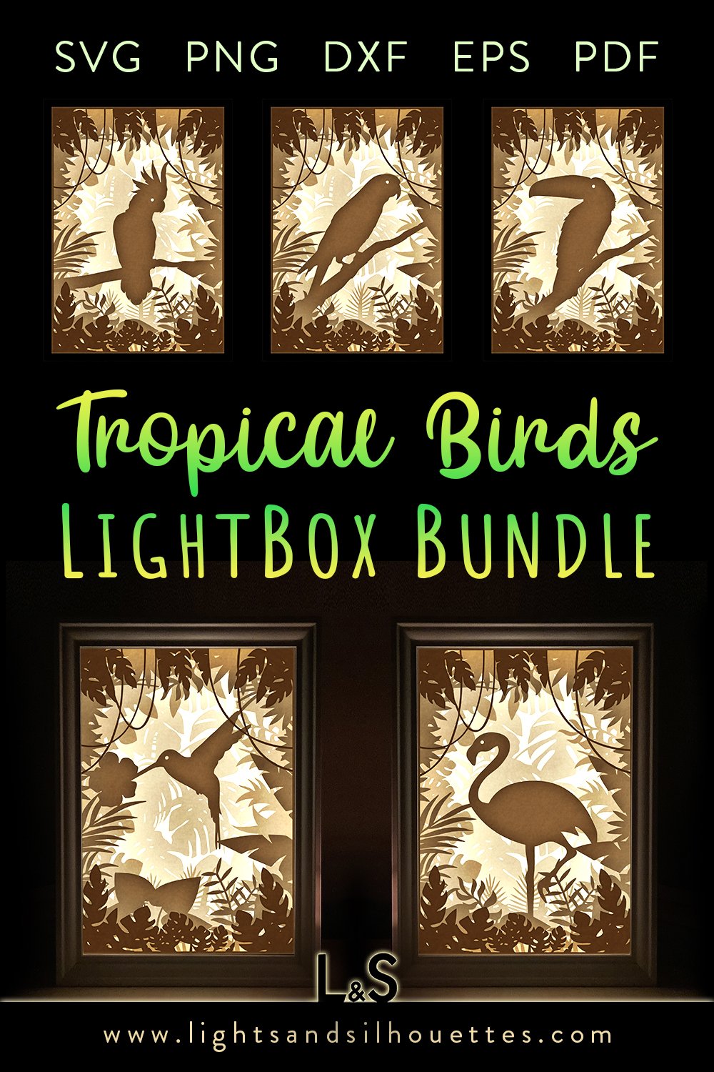 Tropical Birds | Shadow Box Bundle