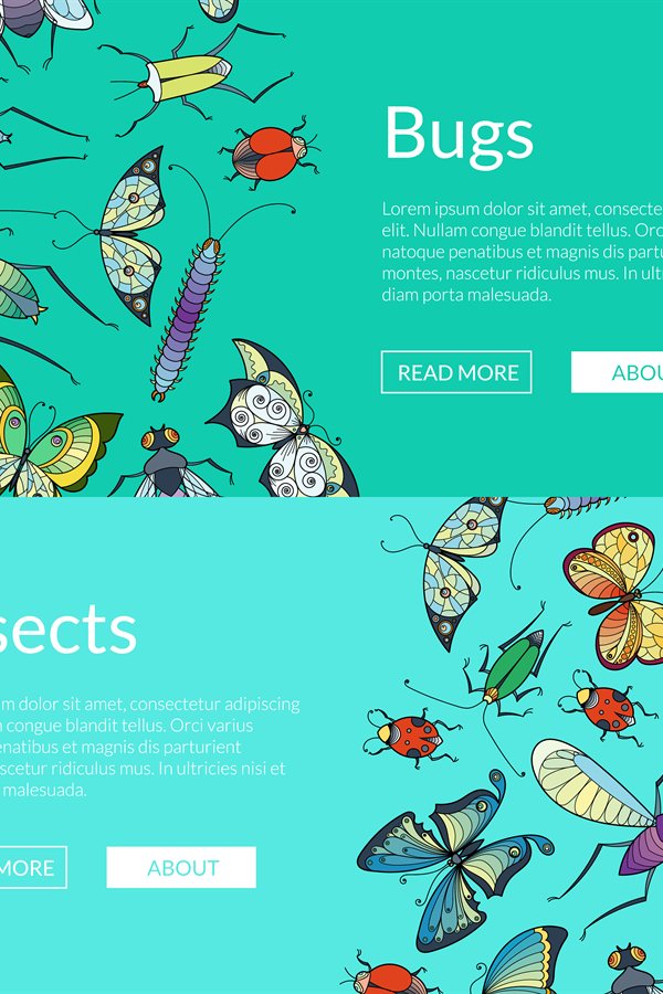 Vector hand drawn insects web banner illustration (872794)