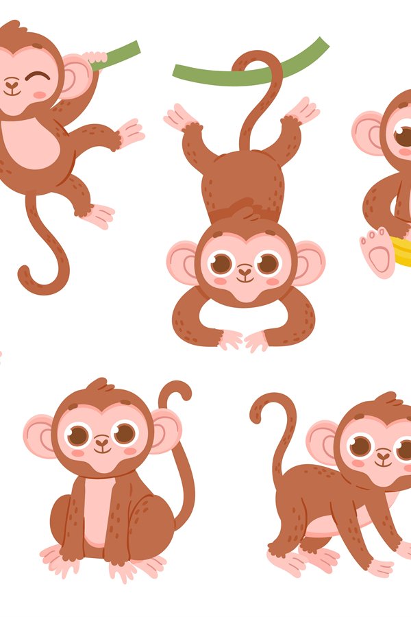 Cute cartoon jungle baby monkey character poses. Exotic trop