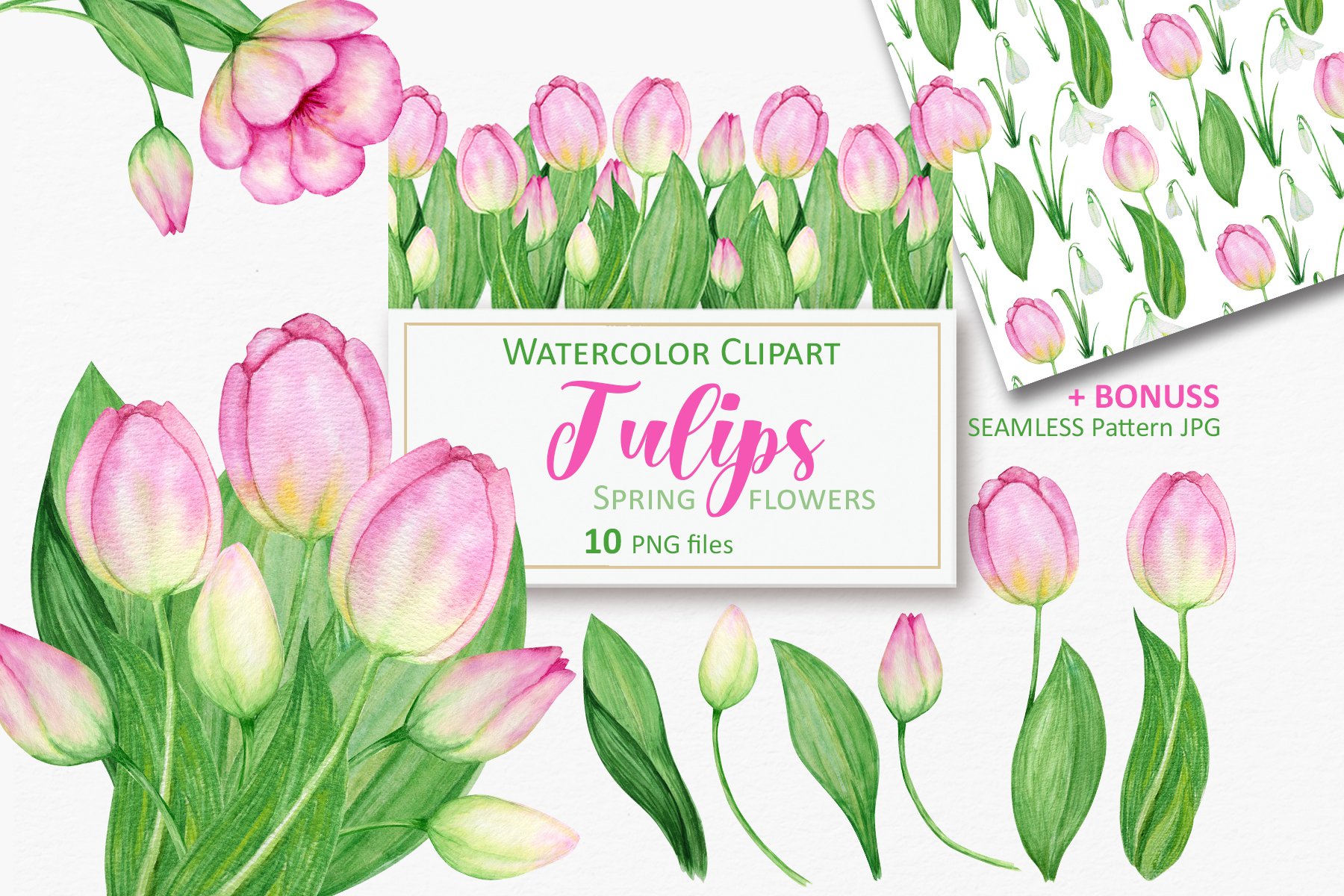 Watercolor Tulip clipart PNG, Spring pink tulips (1194299)