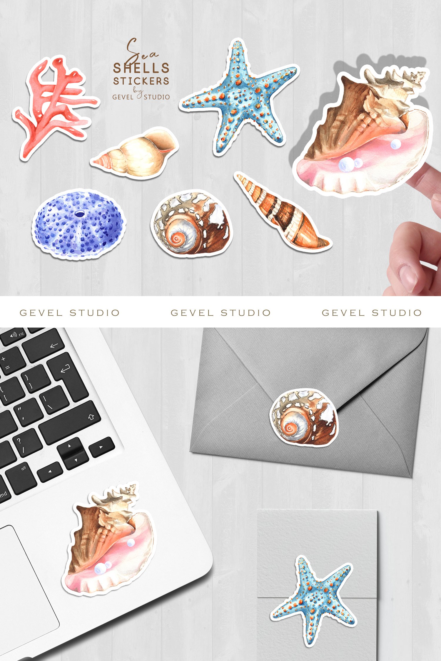Tropical Seashell stickers - Planner Stickers - PNG