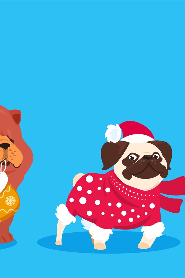 Christmas dogs. Winter vector animals. Cute cartoon dogs in