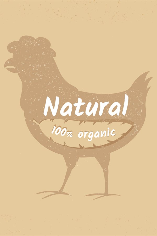 Organic chicken vintage vector logo design banner