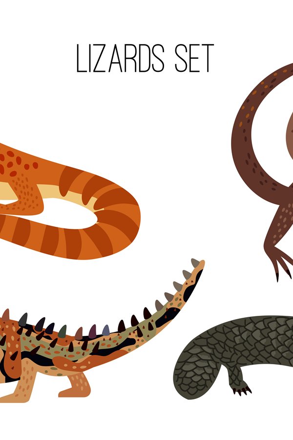 Cartoon colorful lizards