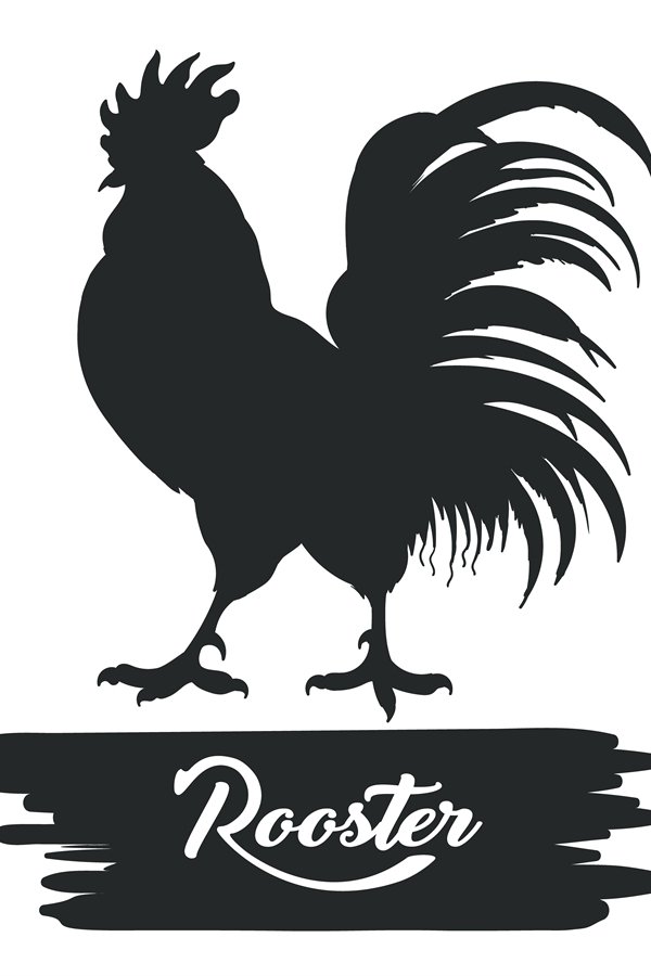 Rooster chicken emblem