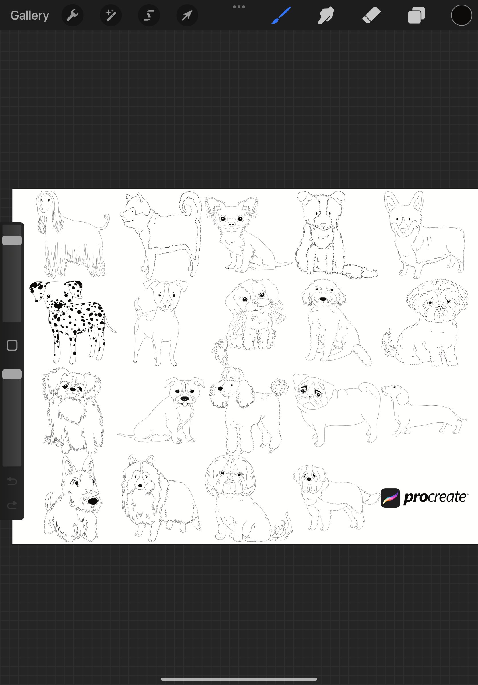 Cartoon Dogs Outlines Set 4 Procreate Brush Stamps, 19 Dogs