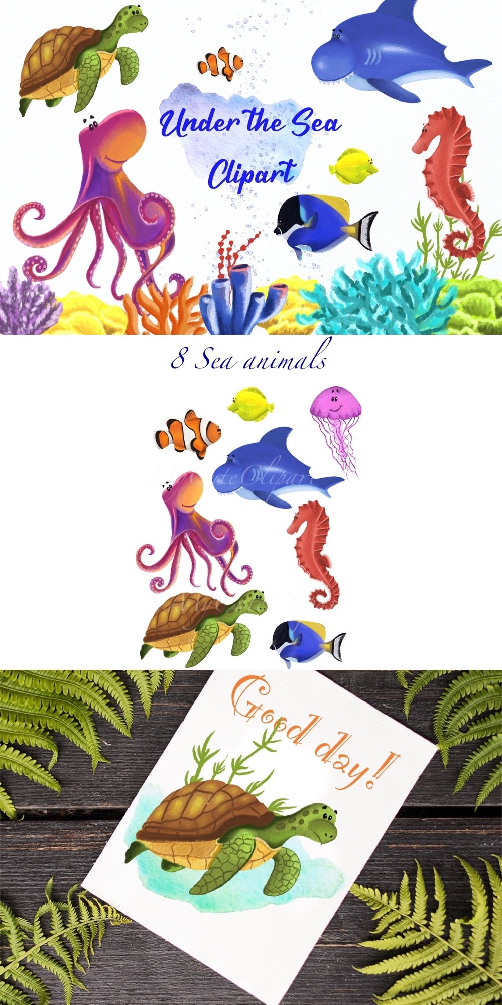 Under the sea clipart, watercolor sealife, underwater animal