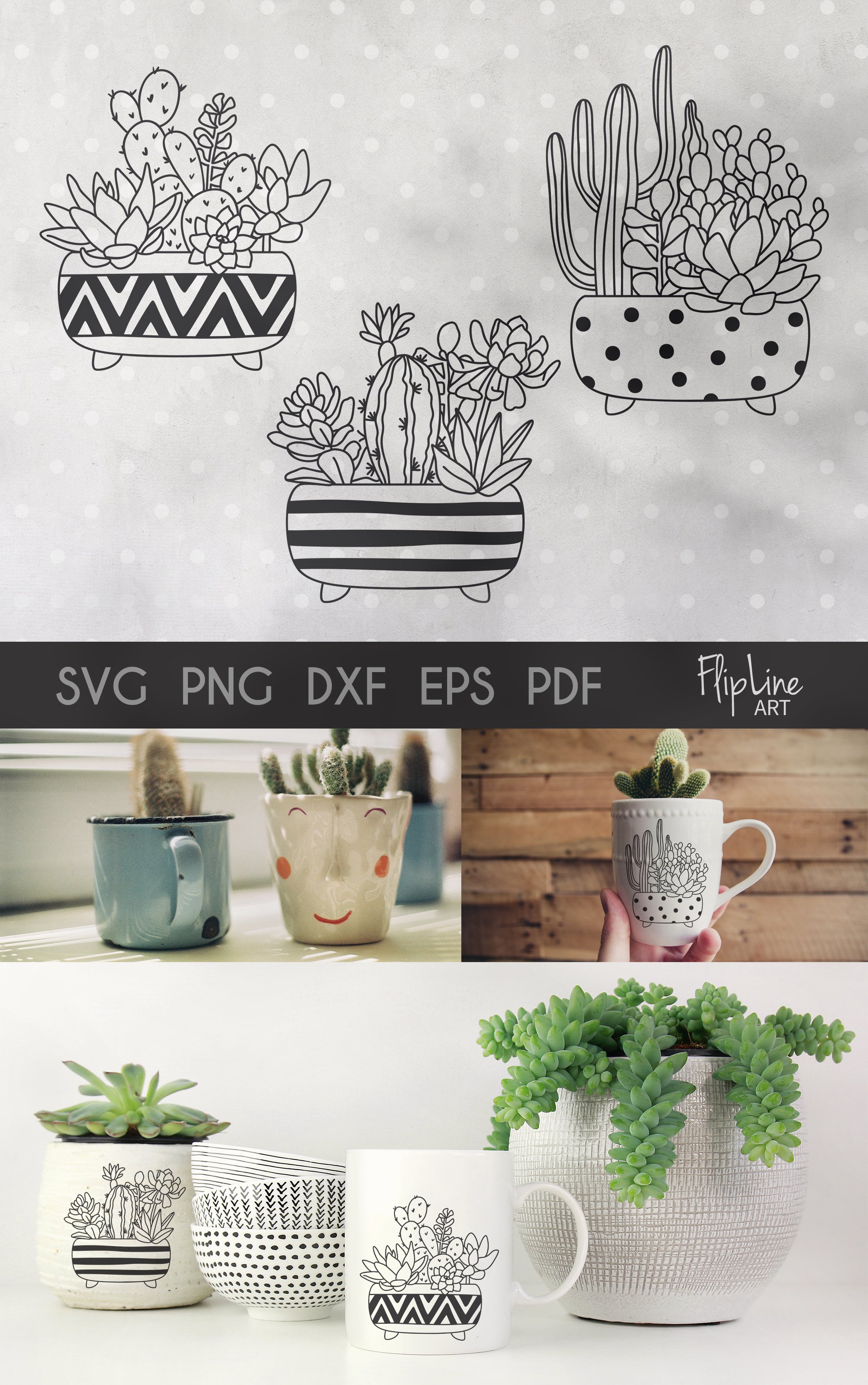 Boho Cactus SVG & PNG clipart bundle, Home Plant, Succulent
