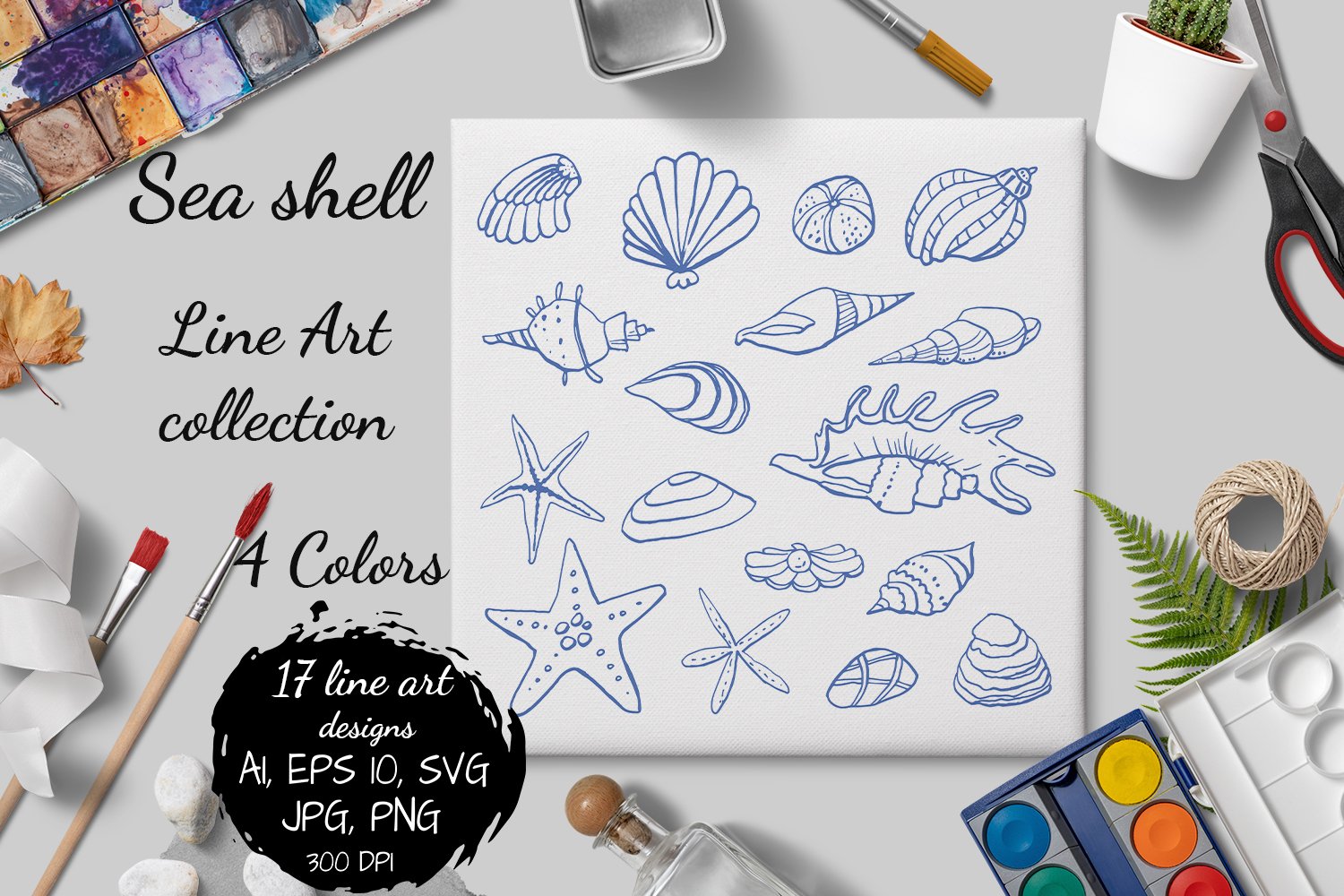 Sea shell line art hand drawn doodle collection