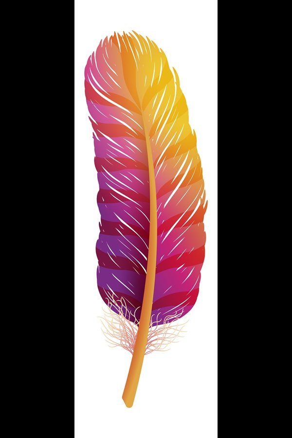 Bright rainbow feather from exotic bird wing