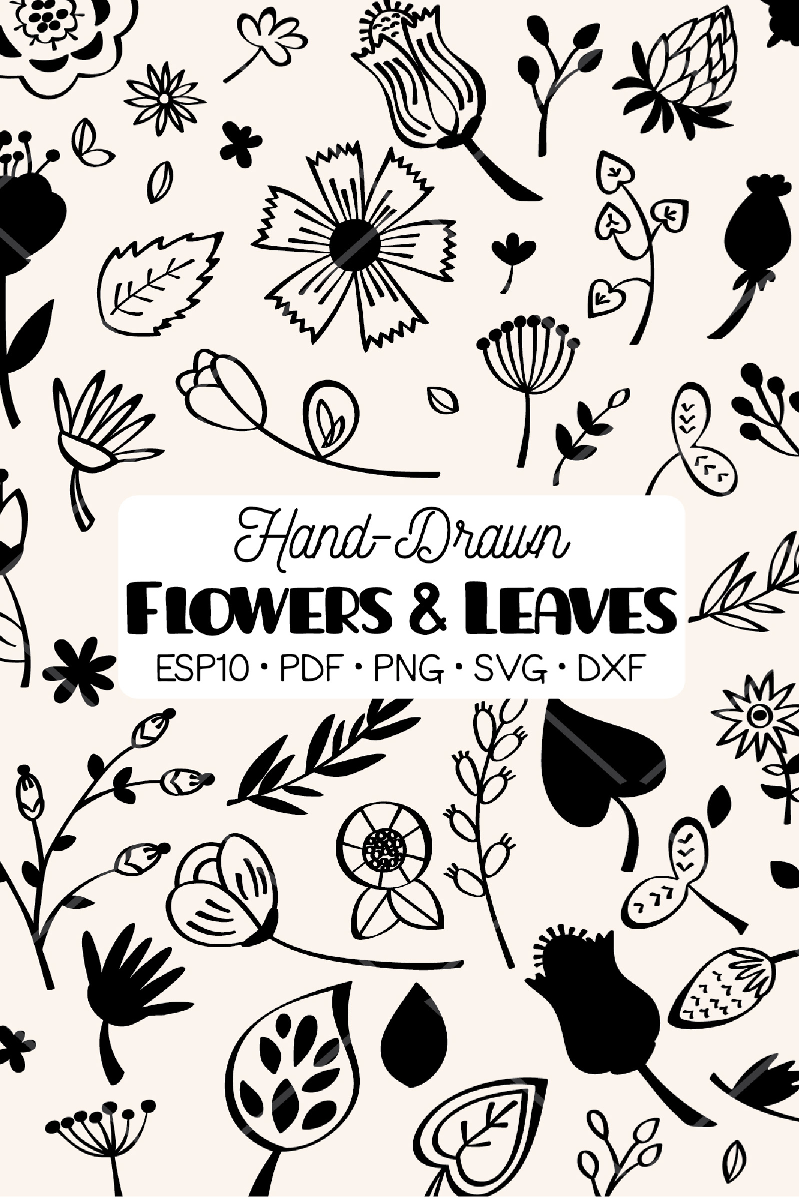 Flowers & Leaves | Hand Drawn Wild Flower, Nature, Plants