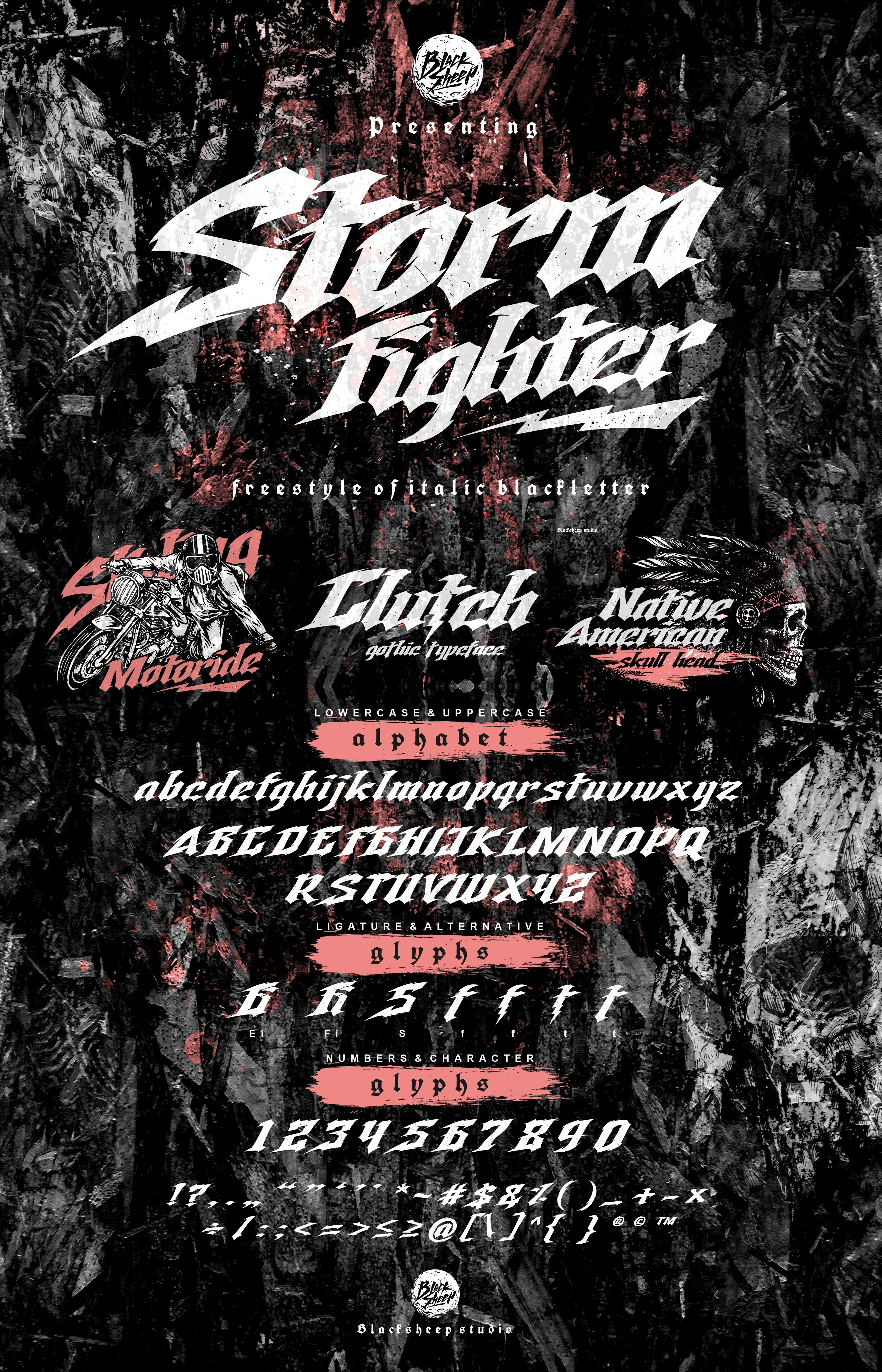 Storm Fighter (660932)