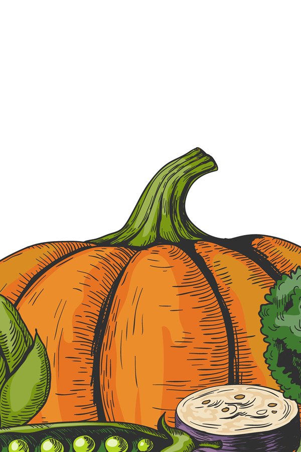 Hand drawn colored vegetables border seamless pattern. Food