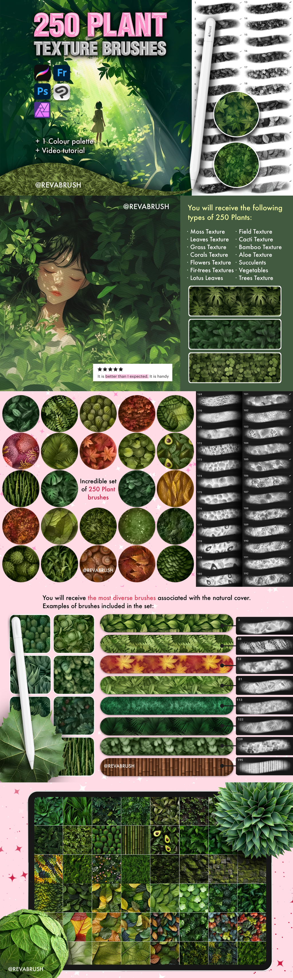 250 Plant Texture Brushes for Procreate, Photoshop & CSP