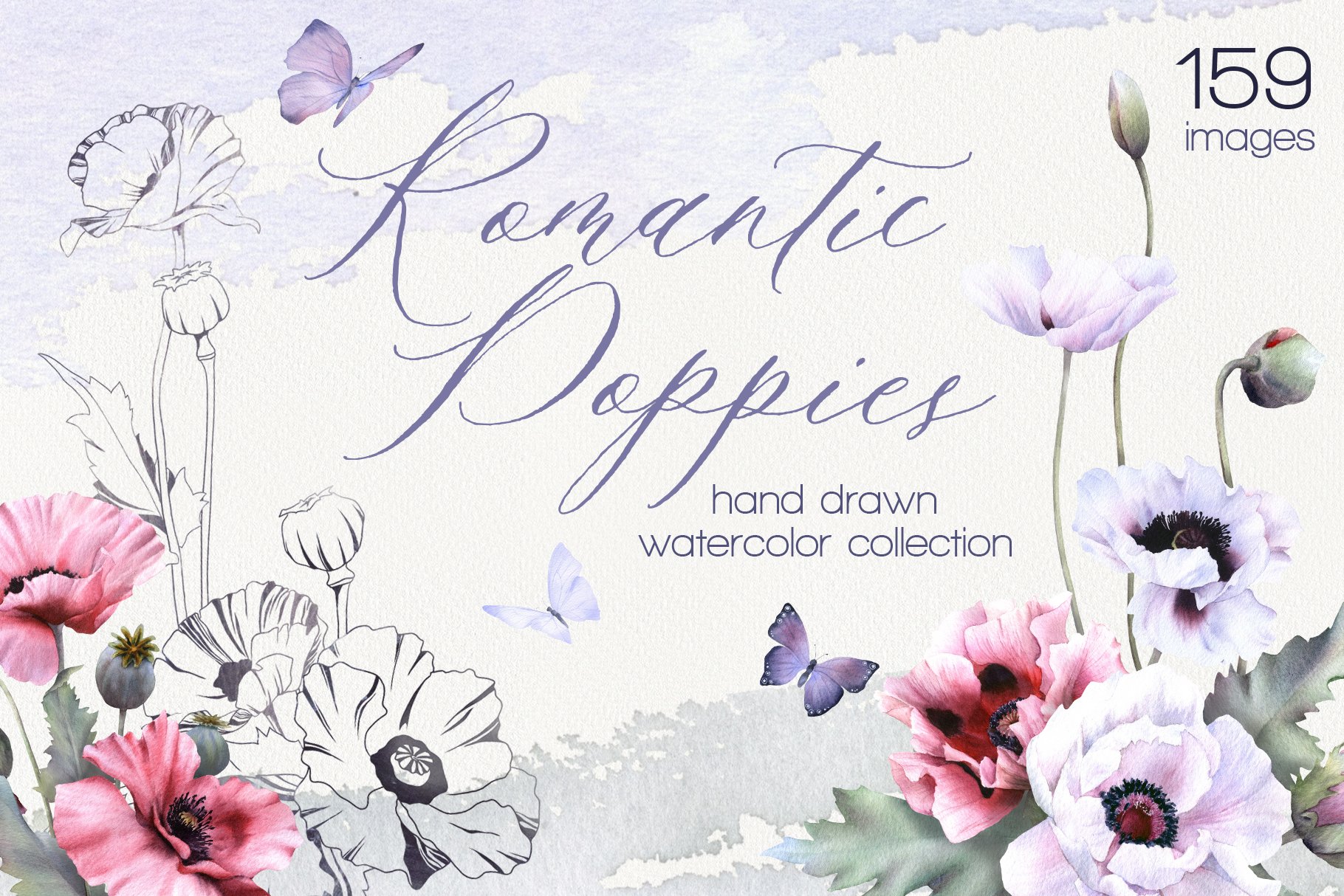 Romantic Poppies watercolor and linear floral collection