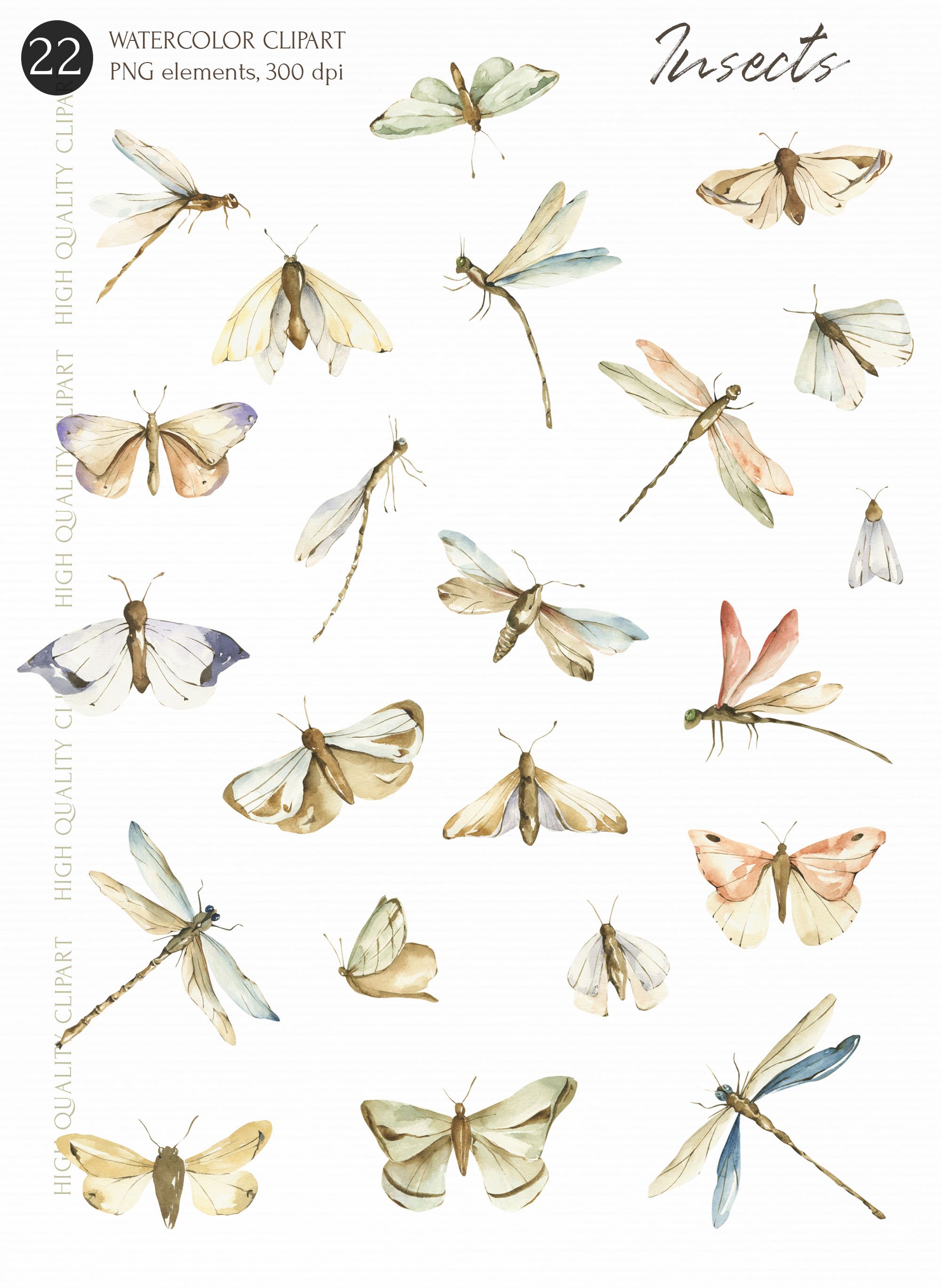 Watercolor Insects clipart. Realistic butterflies, dragonfly