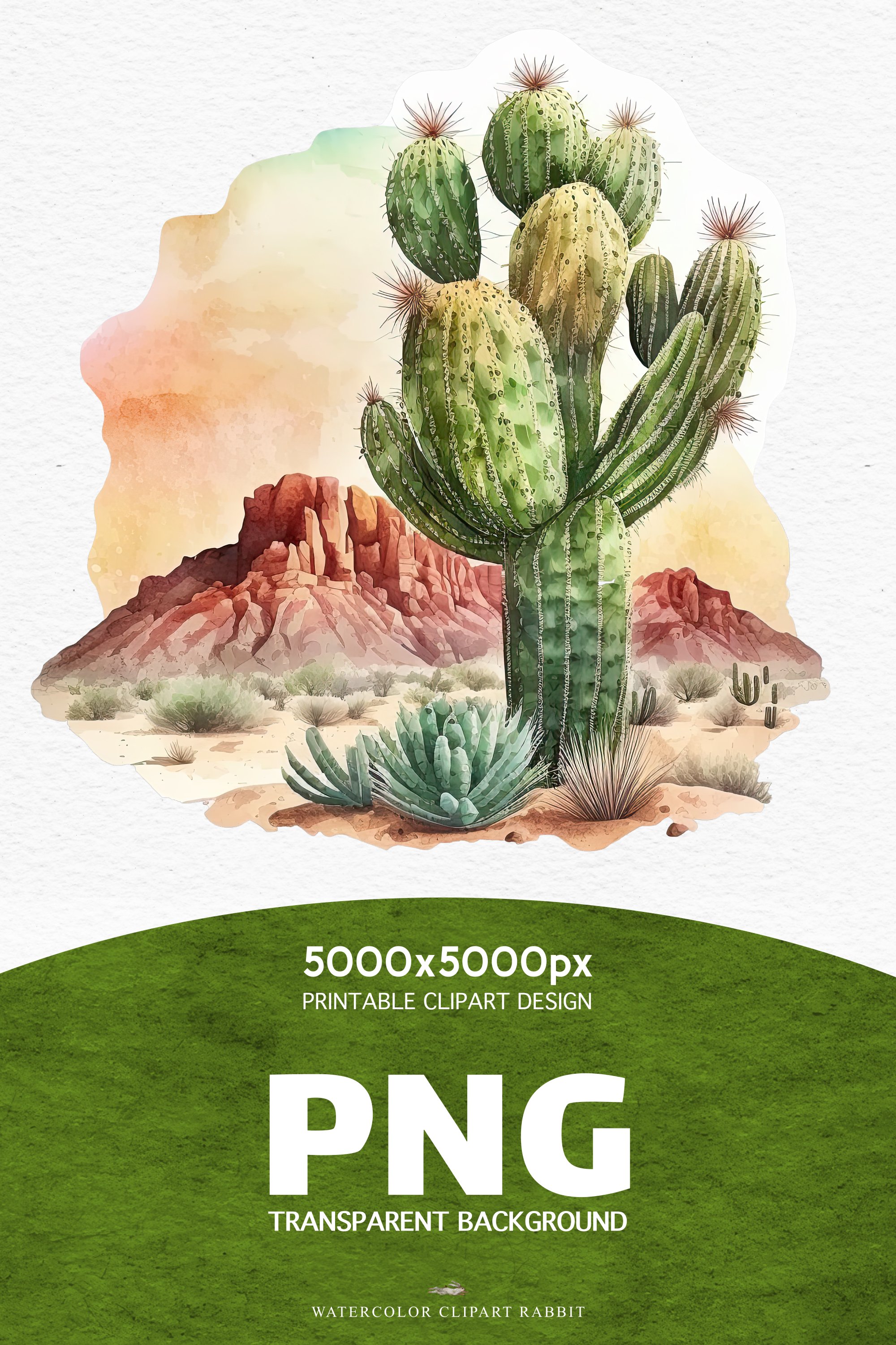 Desert Cactus Succulent Flowers Floral Clipart PNG Scrapbook