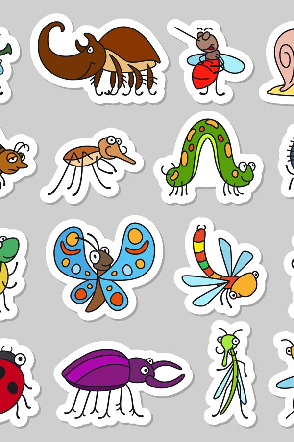 Cute insects and bugs stickers set