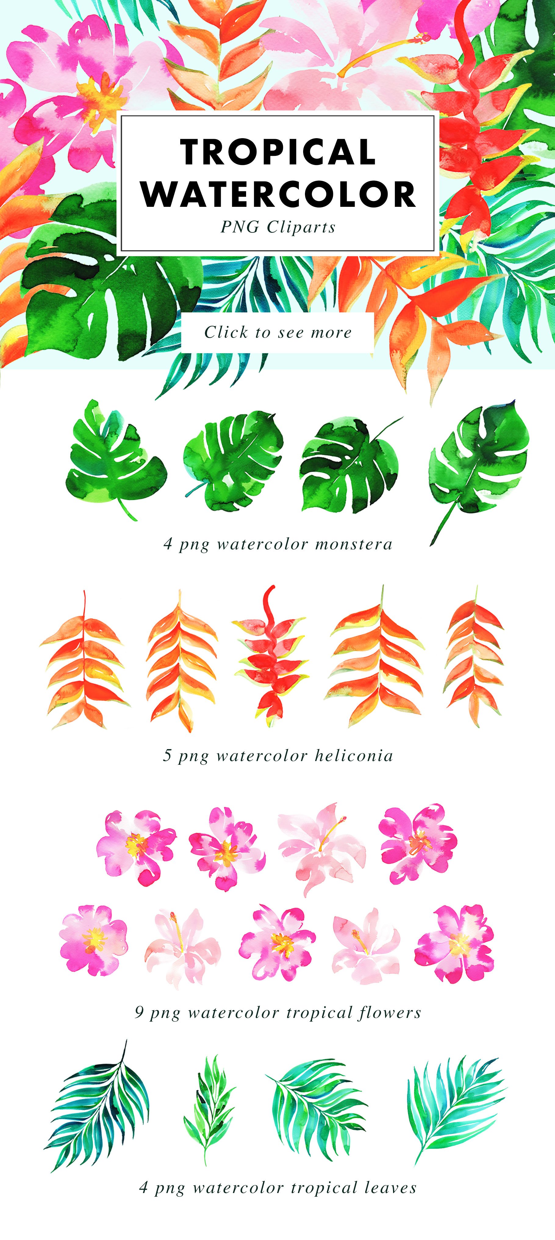 22 Tropical Watercolor Illustrations