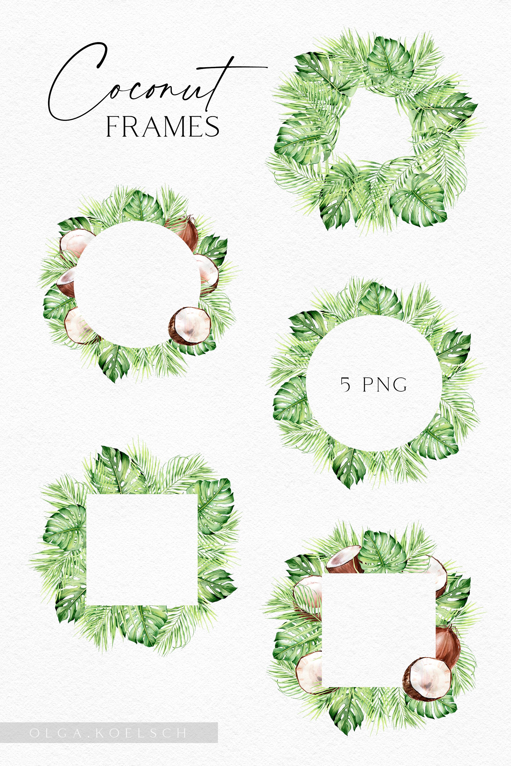 Watercolor coconut clipart, Jungle leaves frames coconut png