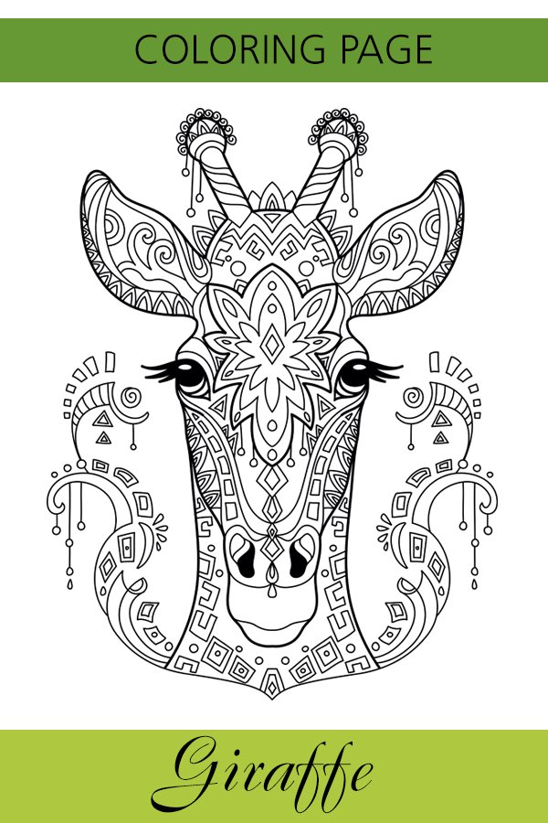 Coloring for adult tangled head of Giraffe