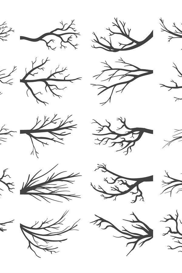 Dry tree branches (1248514)