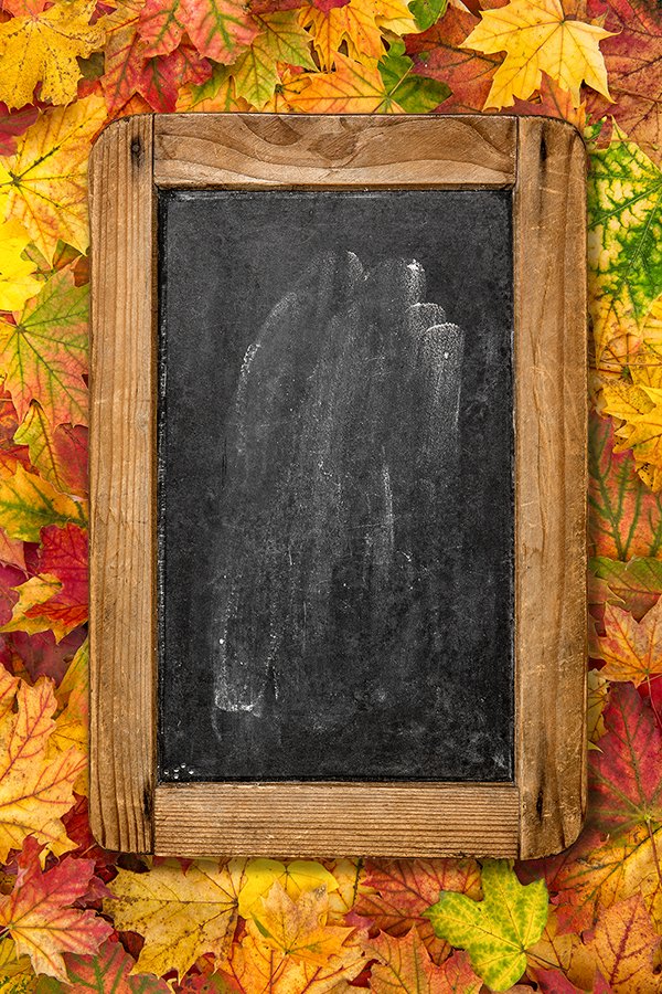 Autumn background Maple leaves chalkboard