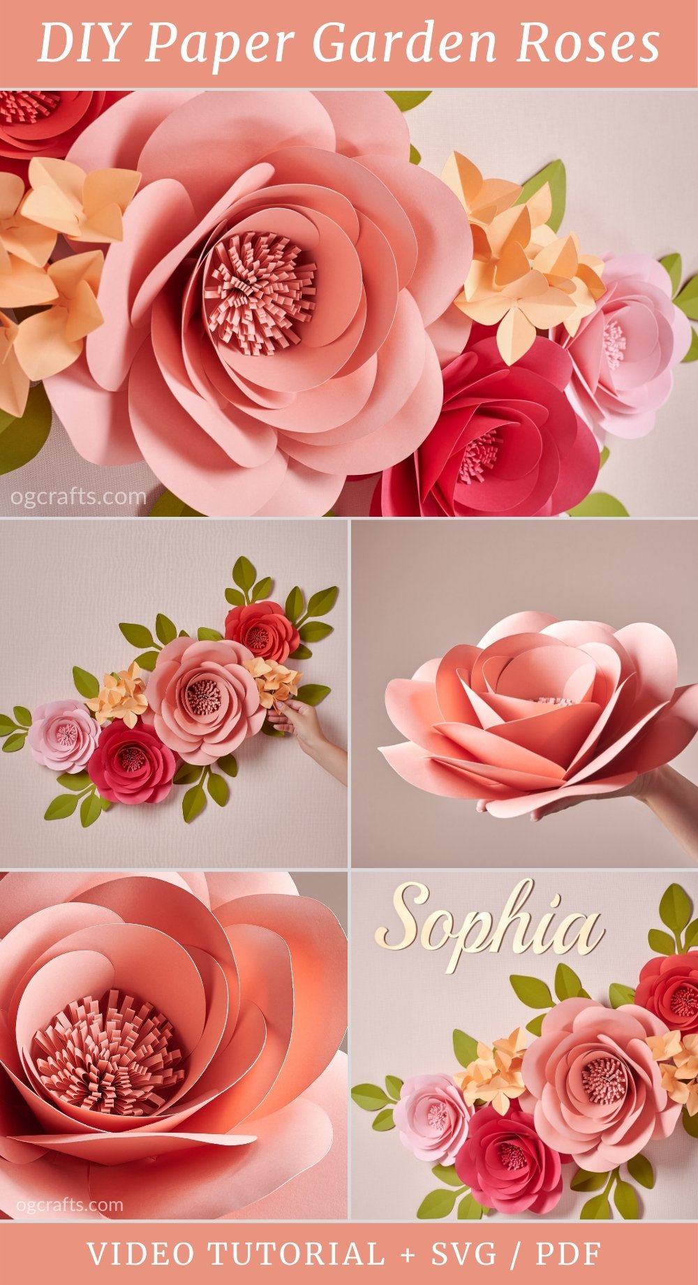 Paper Flower SVG | Paper Rose Template | 3D Paper Flower