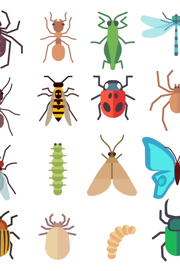 Insect vector flat icons set