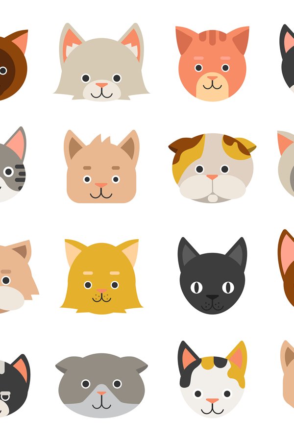 Different faces of cats