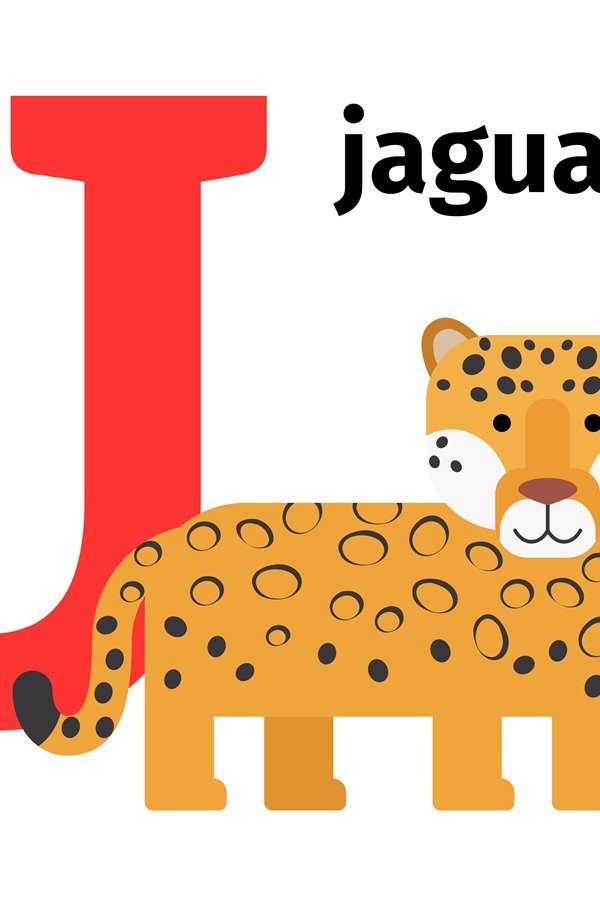 English animals zoo alphabet letter J