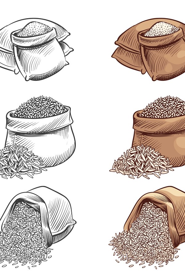 Hand drawn rice sacks vector set. Sketch rice isolated on wh