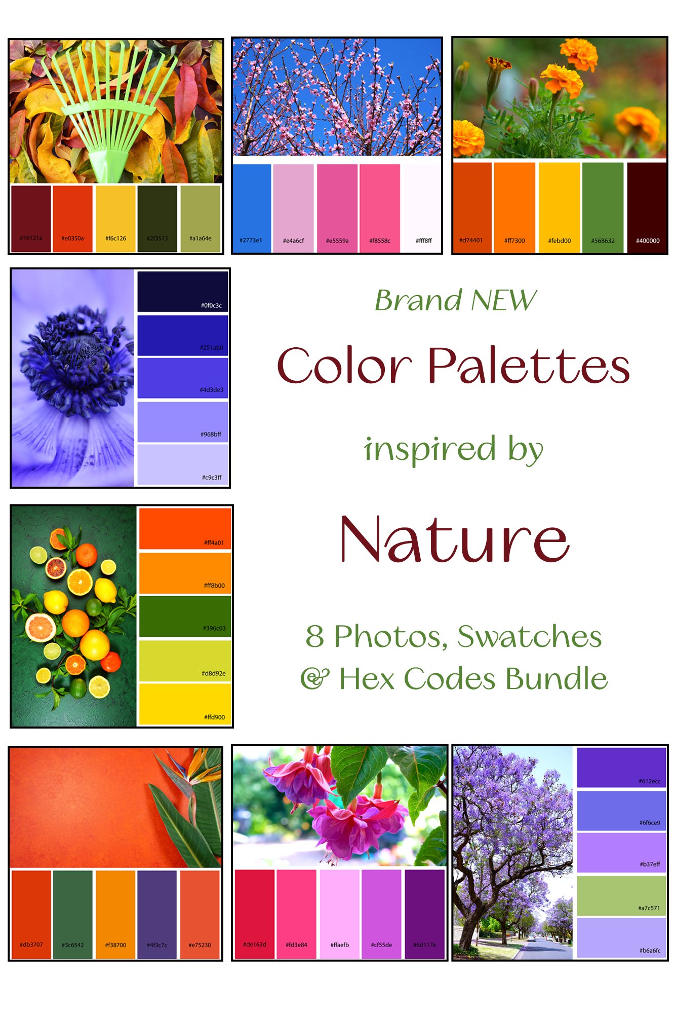 Designer Color Palettes inspired by the Colors of Nature.