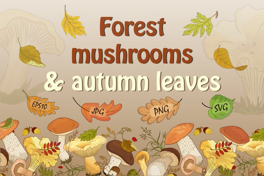 Forest mushrooms and autumn leaves (813884)