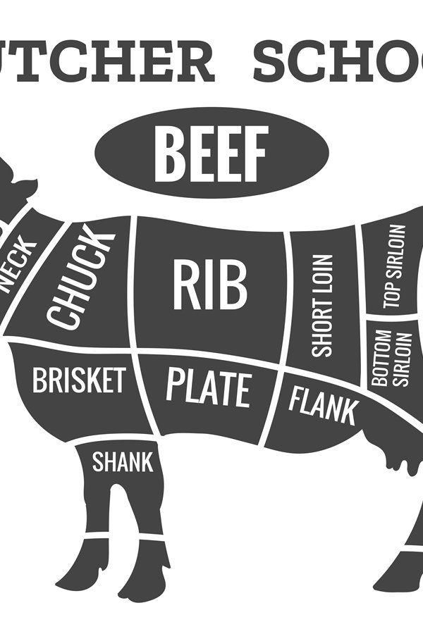 Cow butcher diagram