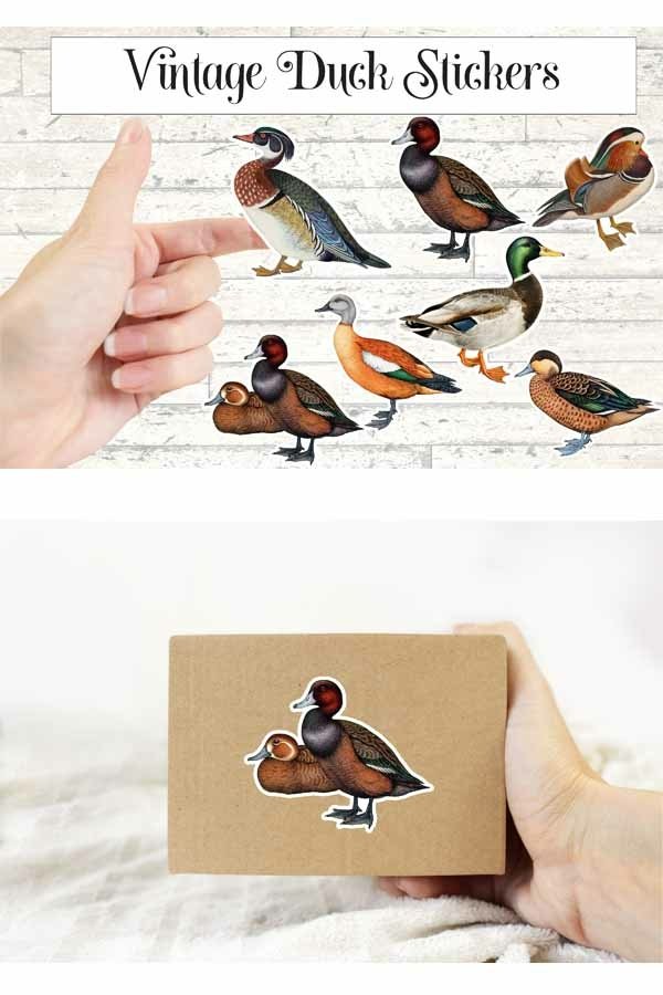 Vintage duck printable stickers