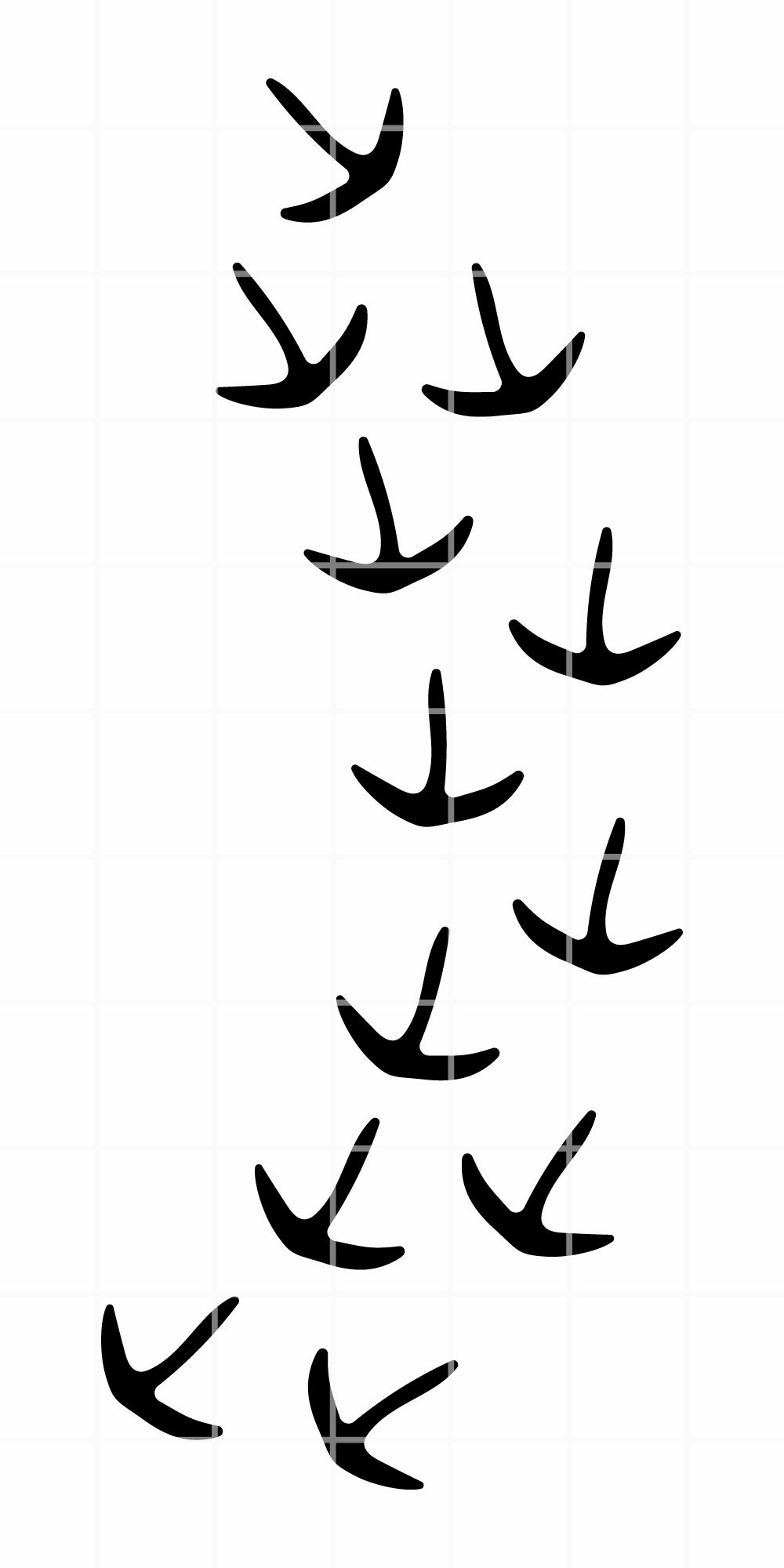 Traces of birds SVG. Chicken steps svg. Footprints svg.