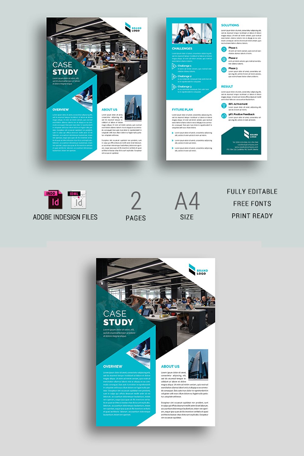 Case Study Template (3202658)