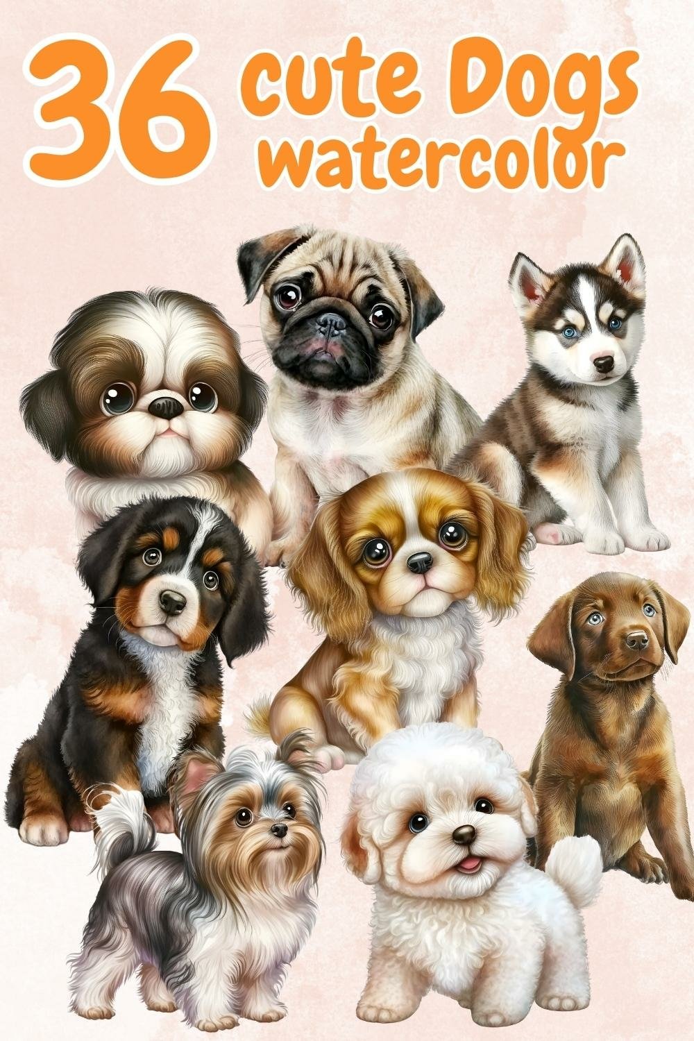 36 cute dog watercolor sets PNG
