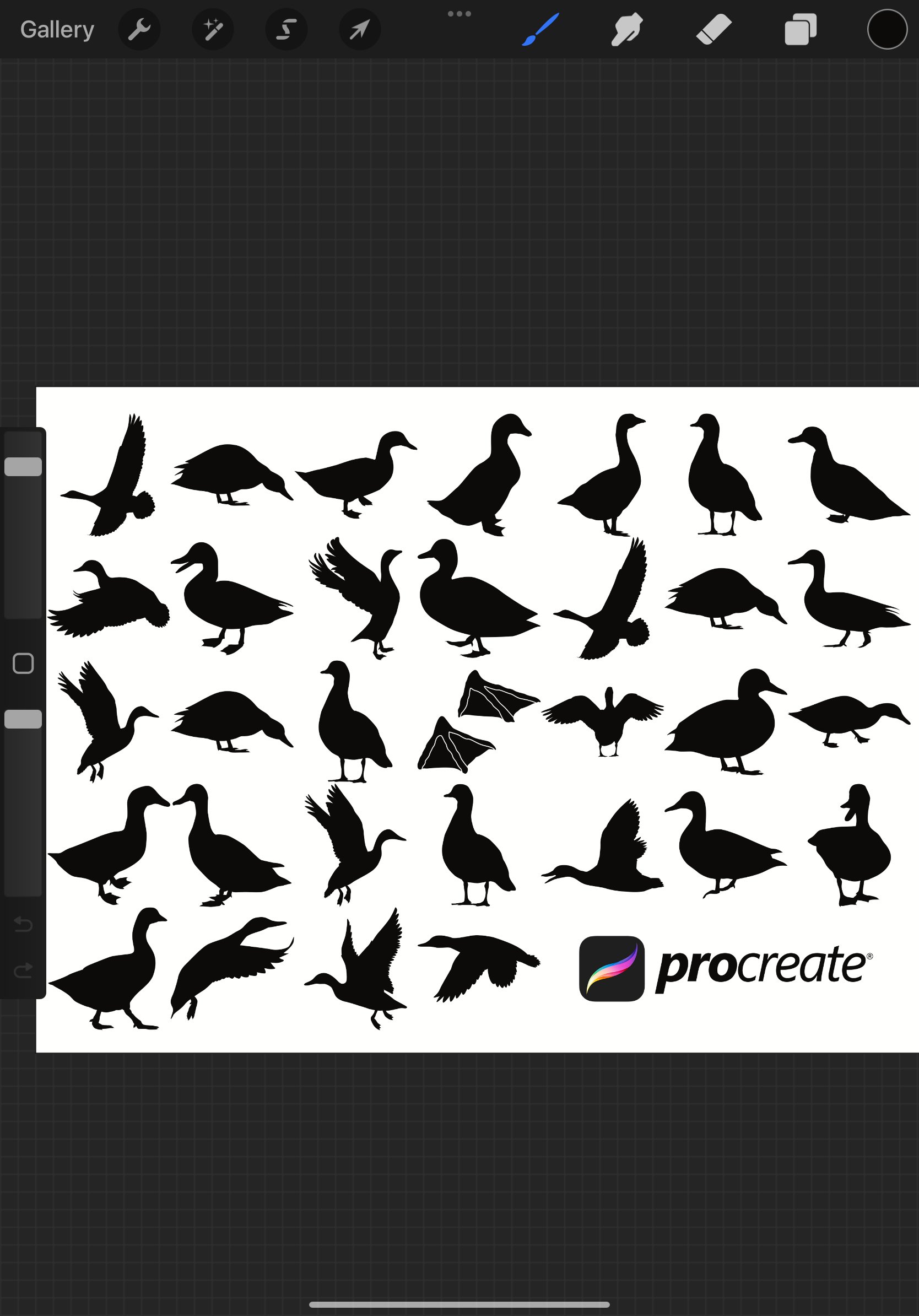 Duck Silhouette Procreate Brush Stamps, 32 Ducks