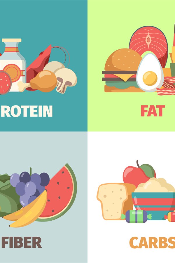 Food nutrition. Proteins fats carbohydrates fiber health pro